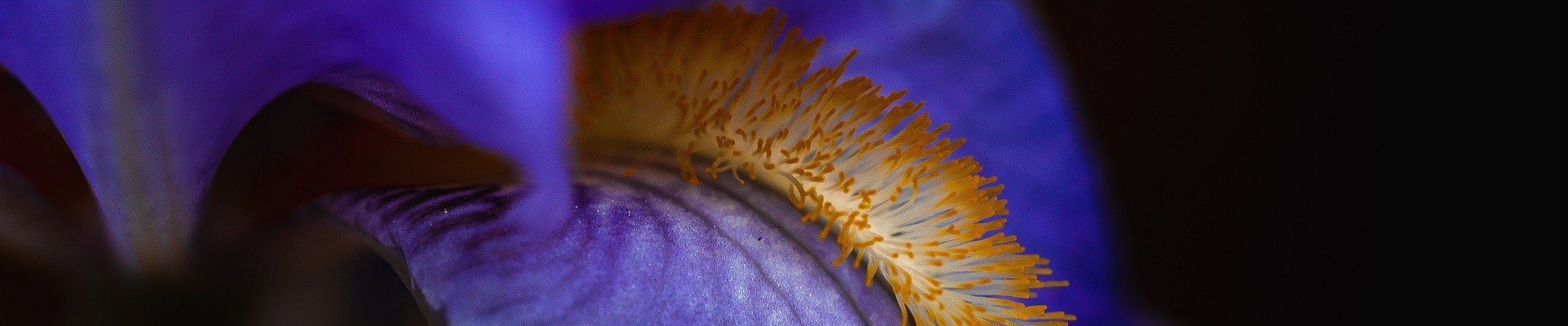 Getting started with Tensorflow and Java-Spring | mimacom Getting started with Tensorflow and Java-Spring | mimacom